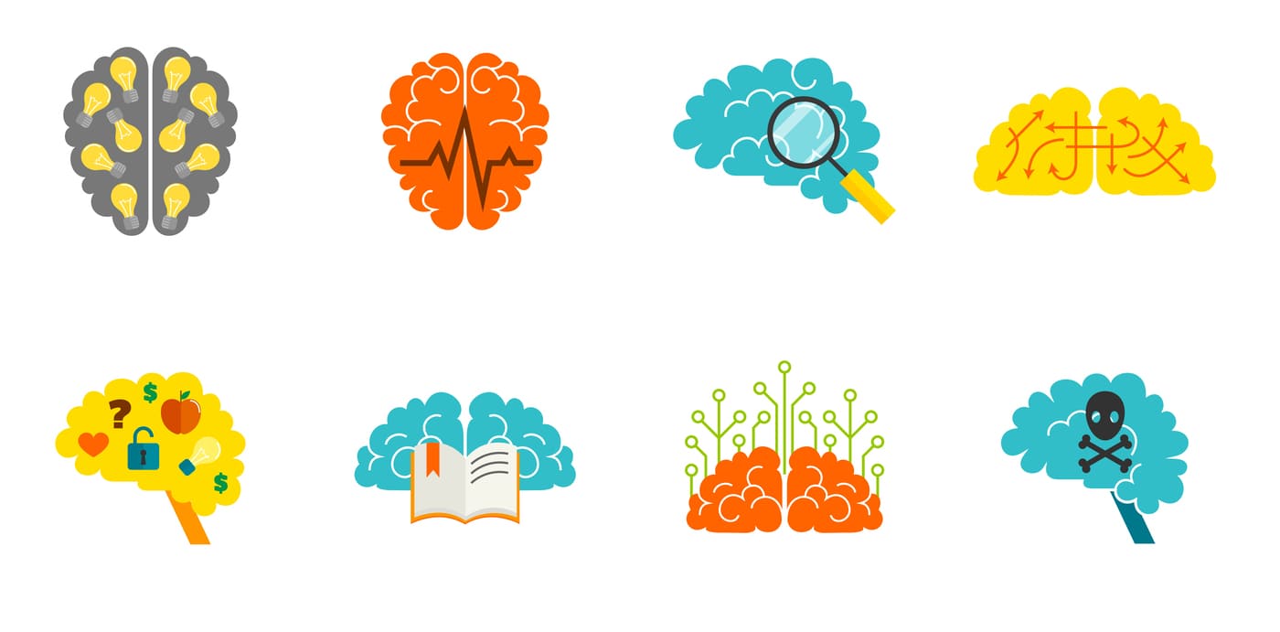 La Estantería De La Neuroeducación Eduforics Observatorio De La