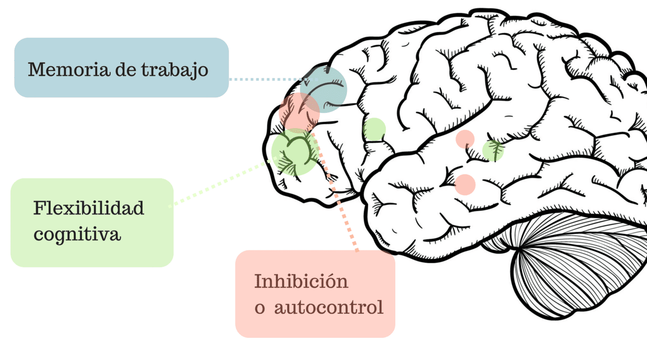 Las funciones ejecutivas y su gestión desde el aula - Eduforics ...